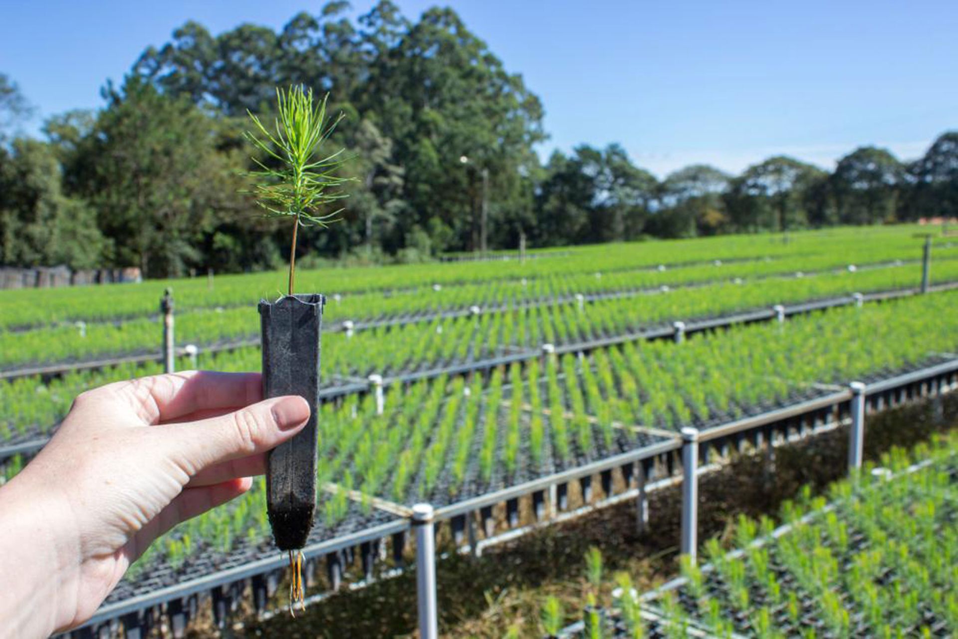 HOME [green-connection.uk]